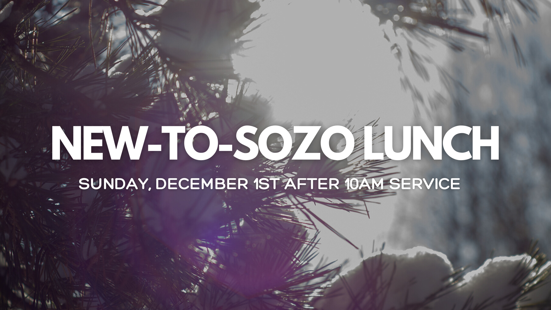 SOZO Church - Welcome Home